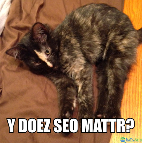 Answer Your Cat's Questions About SEO | Traffic Jams Blog